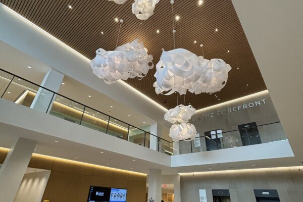 (CROWN POINT, IN) UChicago Medicine - New Hospital | Nacional Group